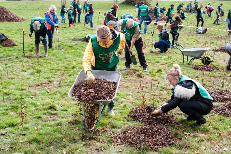 London tree planting programme launched amid warm weather