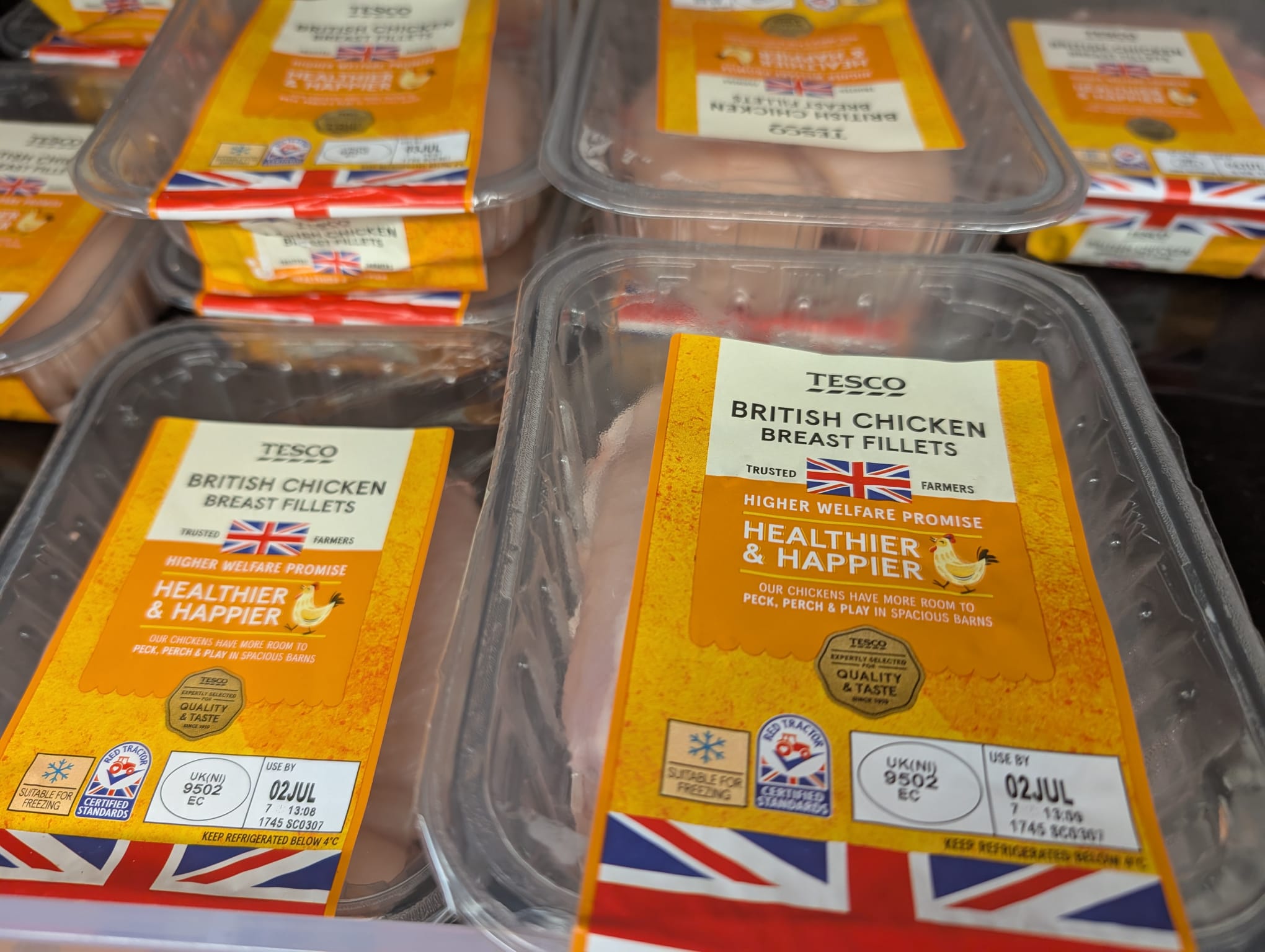 Chicken production boom questions resilience of UK food system